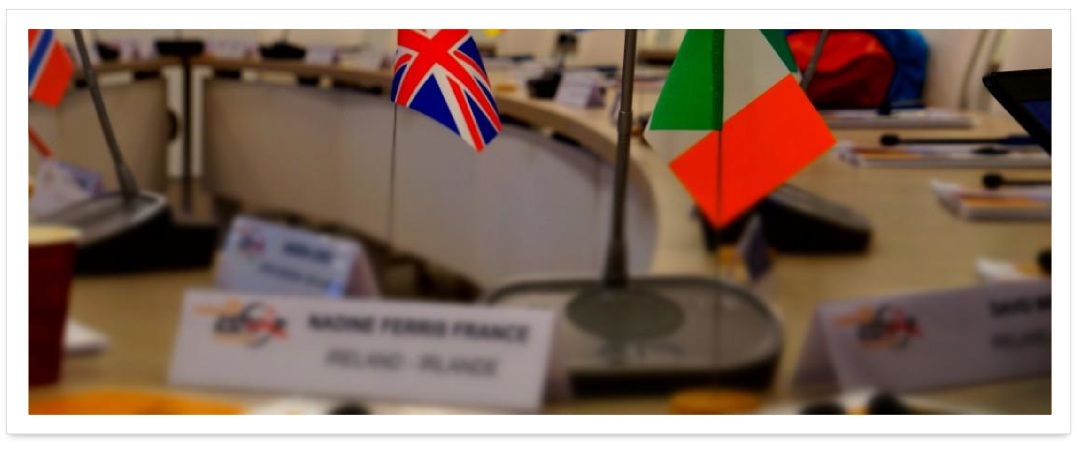 Ireland EEA Chair | Esther Ireland